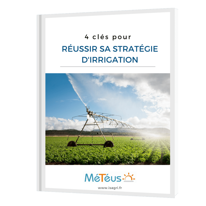 Irrigation des pommes de terre : comment bien la piloter